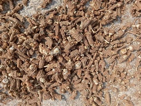 Brown Guduchi Stem At Best Price In Bengaluru Id 2855381445055