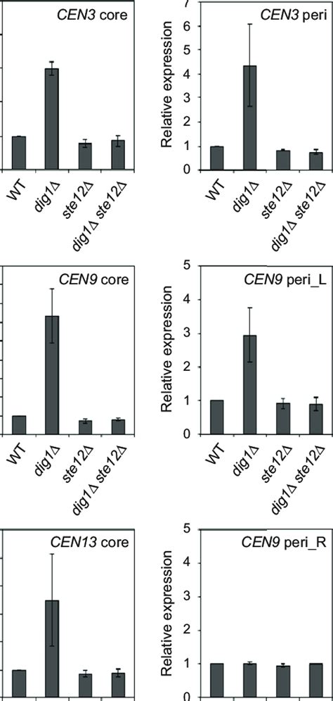Centromeric Transcripts In Saccharomyces Cerevisiae A Schematic