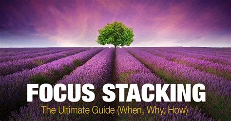 Focus Stacking The Ultimate Guide When Why How PhotoTraces