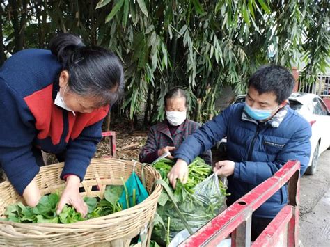 防控疫情献爱心！青神种植户2000斤新鲜蔬菜捐赠给一线工作人员澎湃号·政务澎湃新闻 The Paper
