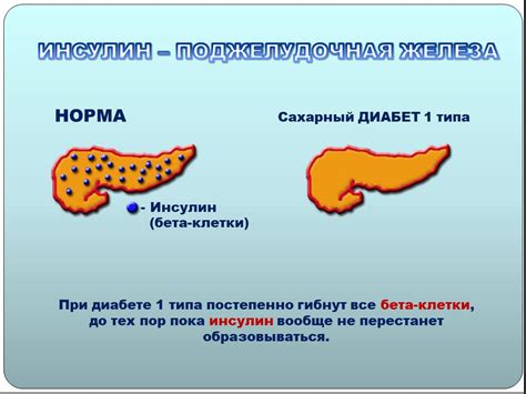 Презентация Сахарный диабет 1 типа 4 класс по биологии скачать проект