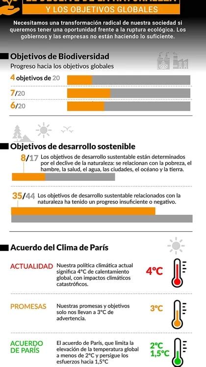 Nos Estamos Devorando El Planeta Un Informe Sobre Biodiversidad