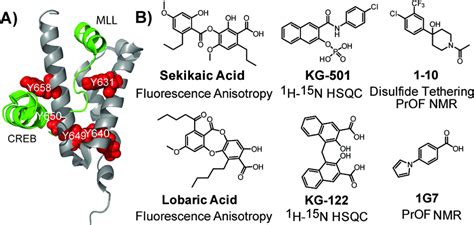 Figure 1 From Fragment Screening And Druggability Assessment For The Cbp P300 Kix Domain Via