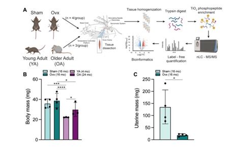 Figure IMAGE EurekAlert Science News Releases