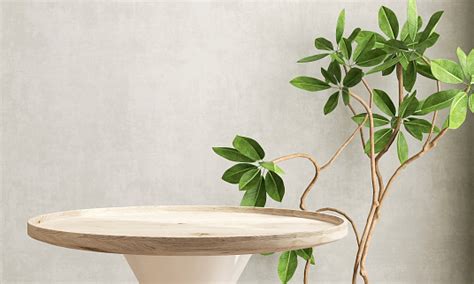 둥근 자연적인 나무로 되는 연단 테이블 햇빛에 있는 녹색 열대 나무 회색 닦은 시멘트 벽에 그림자 녹색에 대한 스톡 사진 및