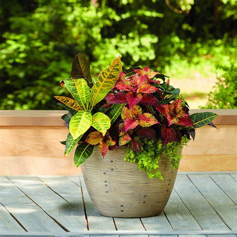 Lowes Up To 75 Off Planters And Pots