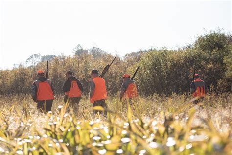 Quail Hunt With Steve Smith And Tom Huggler Meemos Farm