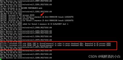 Ora 19909 And Ora 01110ora 19909 Ora 01110 Csdn博客