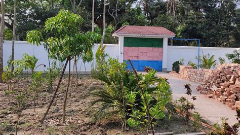 গ্রামের নতুন বাড়ির কার্যক্রম চলছে । রাহুল ভাই ২০২৩ Youtube