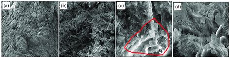 The Microstructure Of The Recycled Aggregates With Scanning Electron Download Scientific