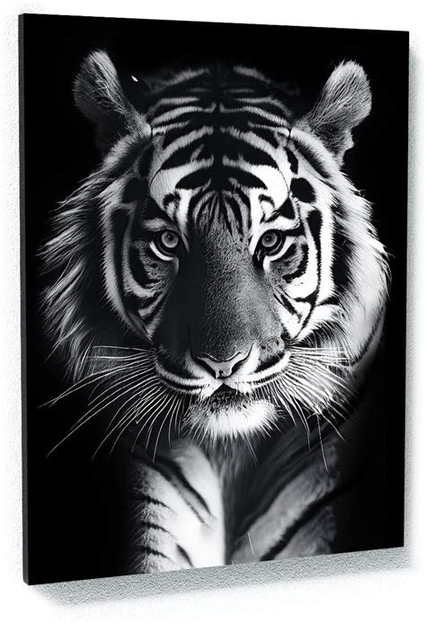 Sense Canvas Tiger Standing Black And White Canvas Art