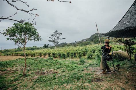 我們失去太多，挽救不回來的是土地──部落青年看原住民傳統領域 報導者 The Reporter