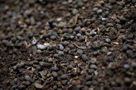 Sheep Manure Buttrose Landscape And Garden Supplies