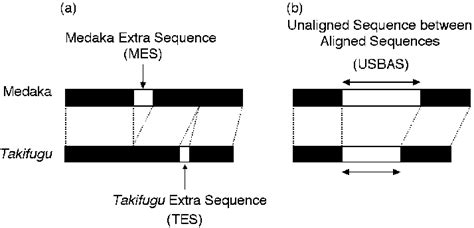 Alignment By Blastz Produces Aligned Sequences Filled Boxes And Two