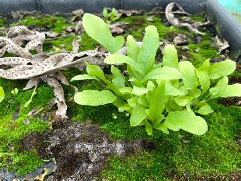 세상에 뿌려진 사랑대신 씨앗