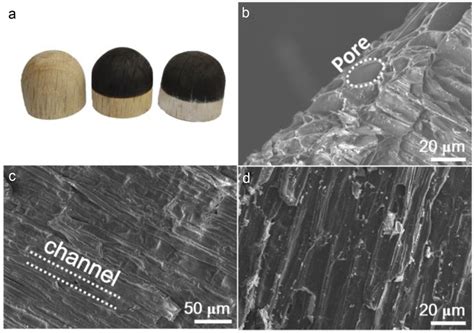 A Optical Photograph Of The Wood Block With Semi Spherical Shape At Download Scientific
