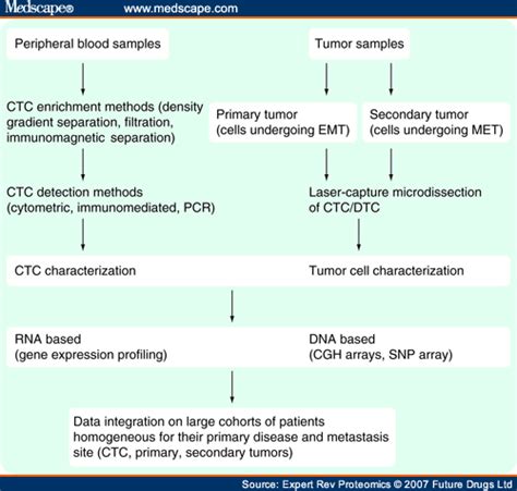Circulating Tumor Cells Detection Molecular Profiling And Future