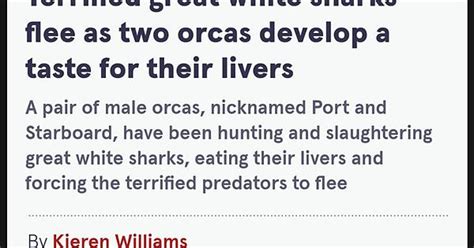 Serial Killers Album On Imgur Serial Killers Album On Imgur