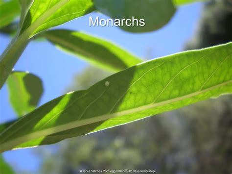 Creation Evolution Controversy Pdf Geography Science