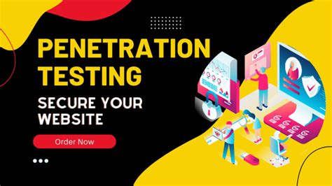 Perform Vulnerability Assessment And Penetration Testing By Pro Pen