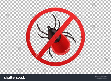 Vector Realistic Isolated Ixodes Tick Insects Stock Vector Royalty