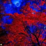 Chromostereopsis Mental Bomb