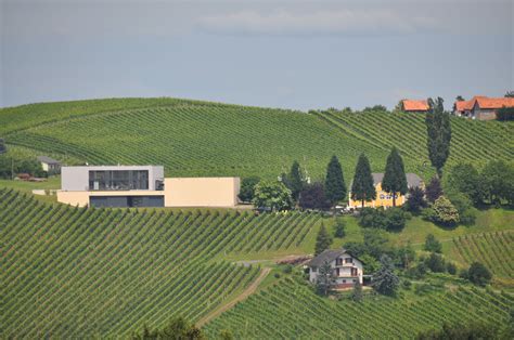 Weingut Weingut Brolli Arkadenhof