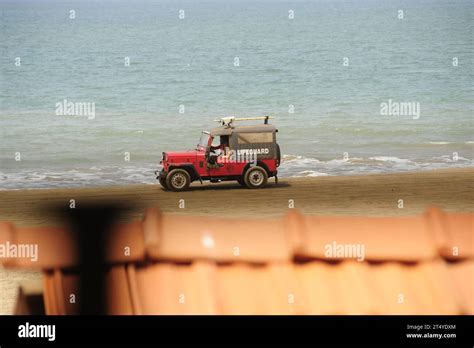 Lifeguards And Baywatch Are Always Ready For Coastal Safety Lifeguards