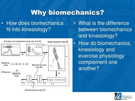 PPT Biomechanics Guest Lecture Kinesiology PowerPoint Presentation ID