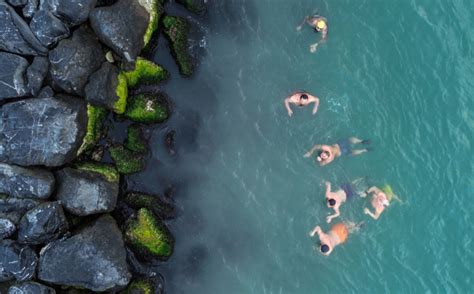 휴가 때 유럽 가려고 했는데…피부 뚫고 알 낳는 무시무시한 기생충 주의보