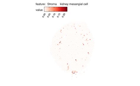 Cell Type Mapping With Nnls • Semla