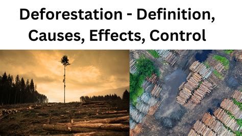 Decomposition Definition Types Process Advantages Biology Notes