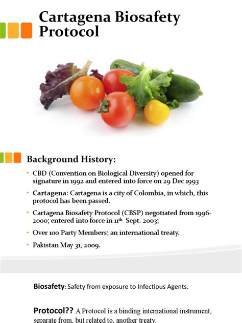 Cartagena Biosafety Protocol Pdf Genetically Modified Organism