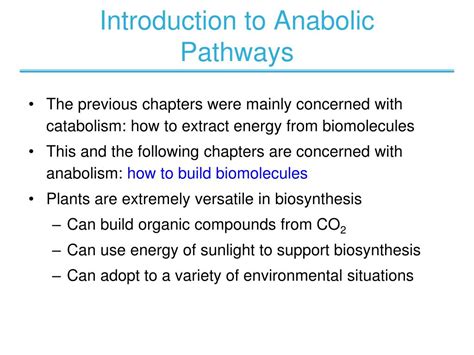 Ppt Chapter 20 Carbohydrate Biosynthesis In Plants Powerpoint