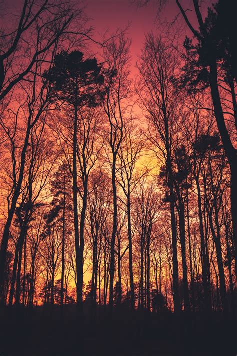 Bushfires Wallpapers Wallpaper Cave