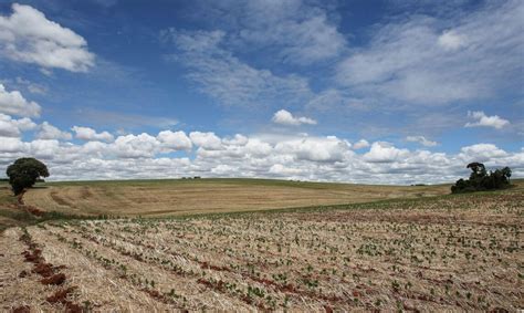 El Impacto De La Sequía Se Prevén Pérdidas Por Más De Us 14000 M Aga