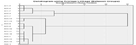 Dendrogram Using Average Linkage Hierarchical Clustering Of Squared