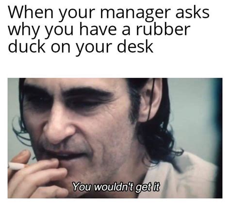 Only True Devs Will Understand R Programmerhumor