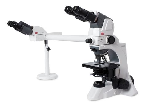 Multi Head Microscopes Microscope Central
