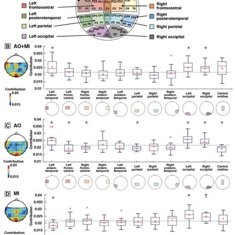 Topographic Distribution For Weights Of Neural Decoding Models