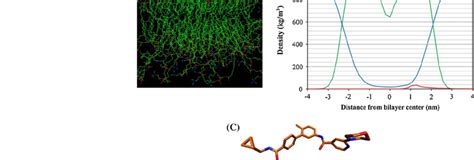 Gk6 In Dppc Bilayer A Mass Density Profile B And Extended