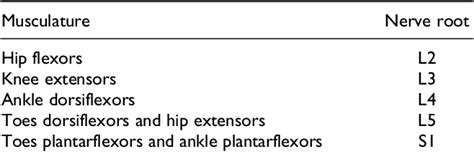 Table 2 From A Novel Method In Assessing Lower Limb Motor Function Semantic Scholar