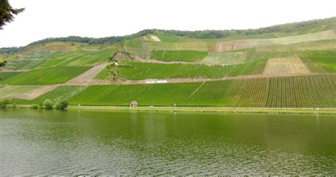 Studert Prum Wehlen The Winery Uk