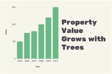 The Importance Of Tree Maintenance For Property Value Tree Rangers