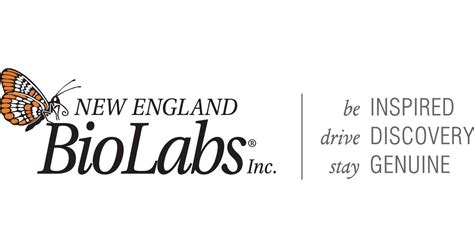 New England Biolabs® Launches New Nebnext Ultraexpress™ Dna And Rna Kits For Faster Easier Ngs