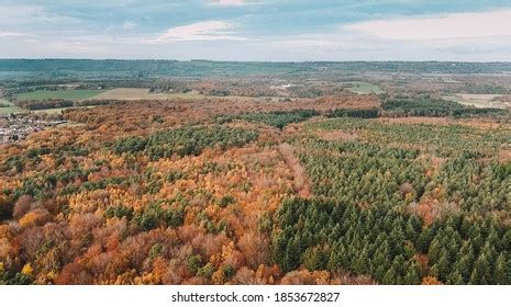 Fall Trees Ariel Images Stock Photos Vectors Shutterstock