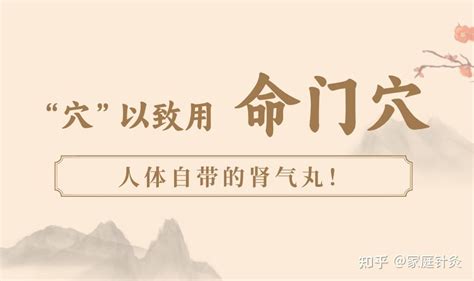 穴以致用命门穴人体自带的肾气丸强肾固本治阳虚 知乎