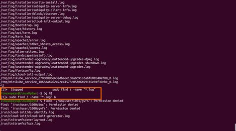 Foreground And Background Processes LinuxOPsys