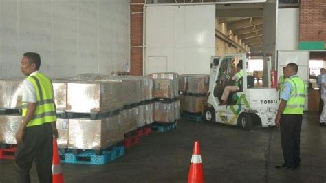 Indonesia Ekspor Sarang Walet Senilai Rp13 Miliar Ke China Warta Kota
