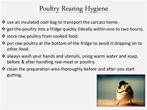 Chicken Poultry And Food Safety
